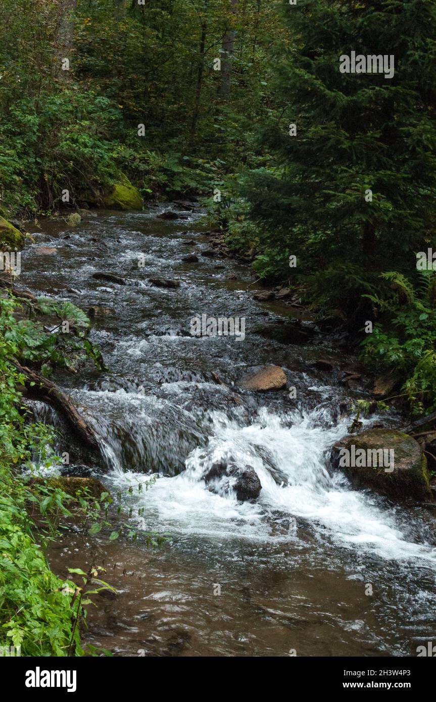 Wild brook in a small gorge in Austria Stock Photo - Alamy
