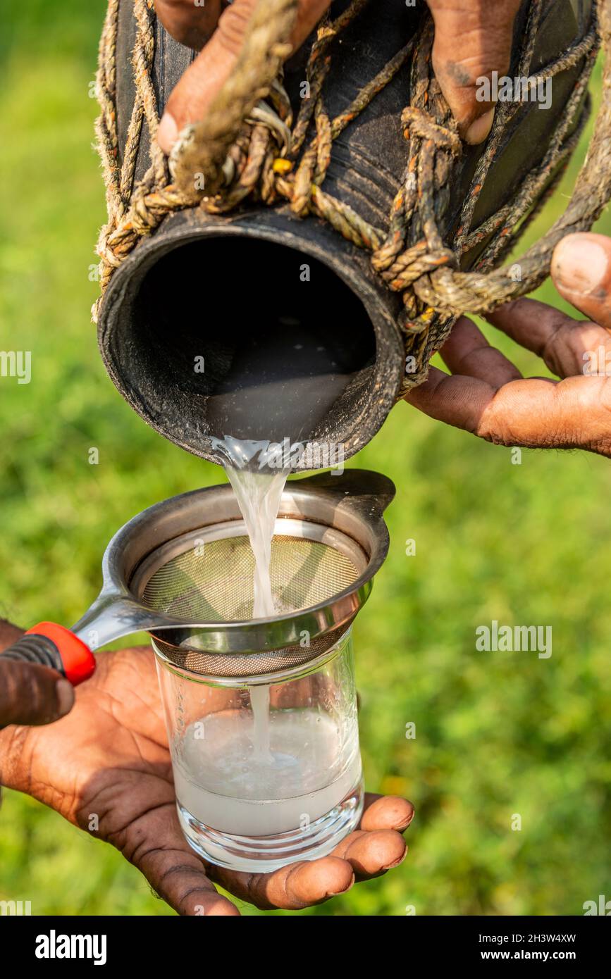 Toddy container hi-res stock photography and images - Alamy