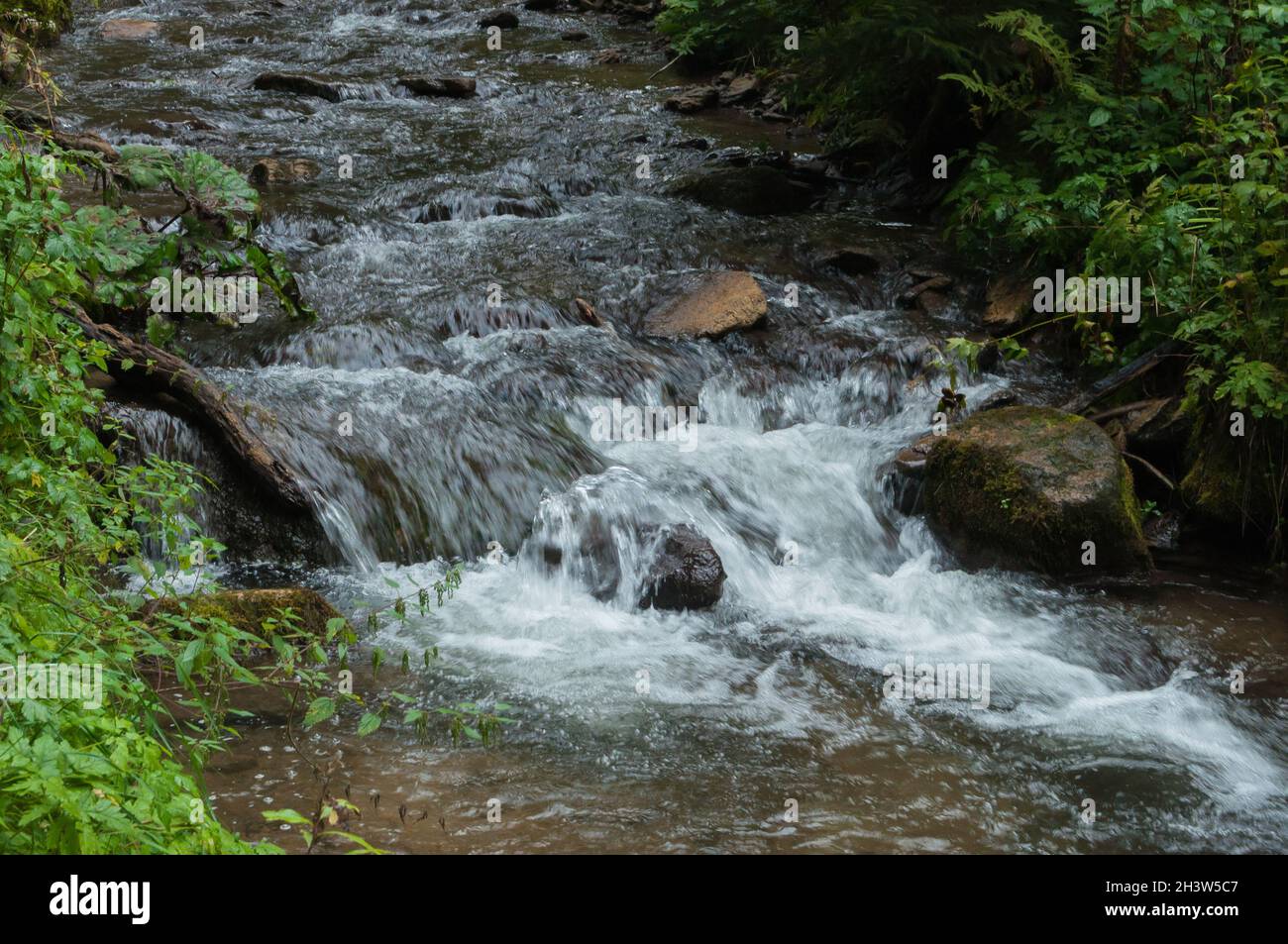 Wild brook in a small gorge in Austria Stock Photo - Alamy