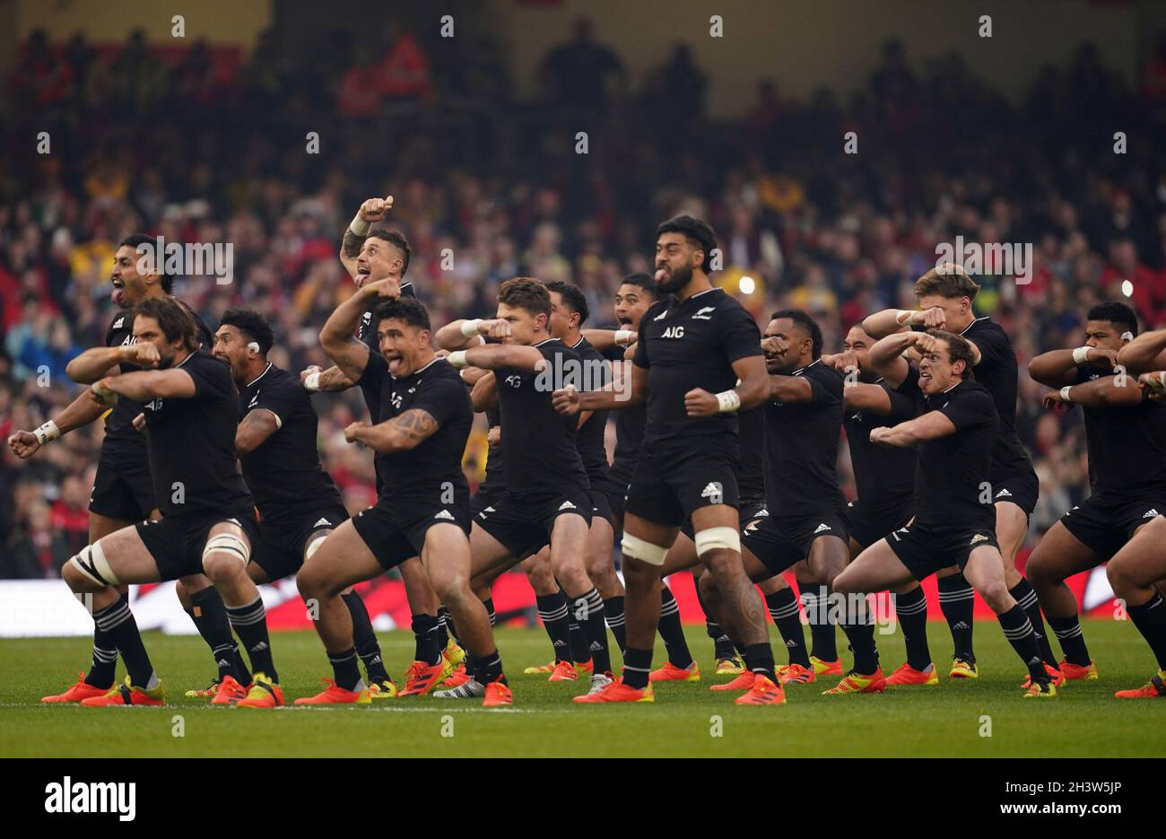 New Zealand perform the Haka before the Autumn Nations Series match at ...