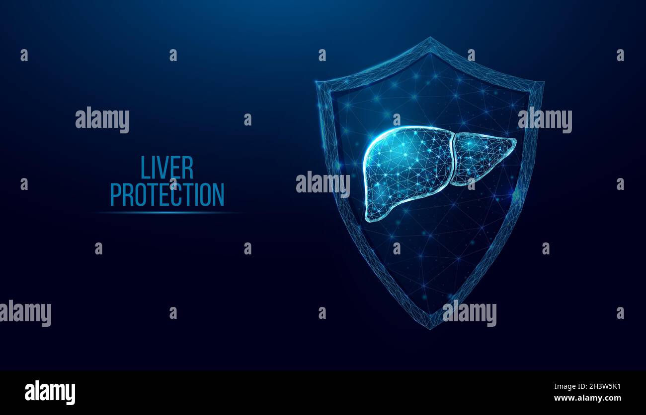 Human liver protection. Wireframe low poly style. Concept for medical ...