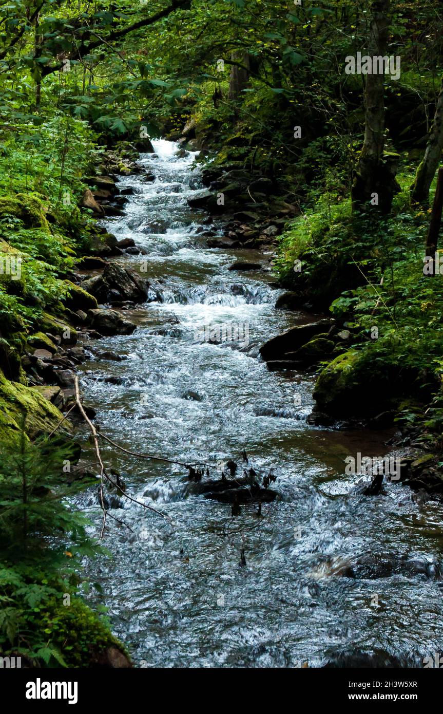 Wild brook in a small gorge in Austria Stock Photo - Alamy