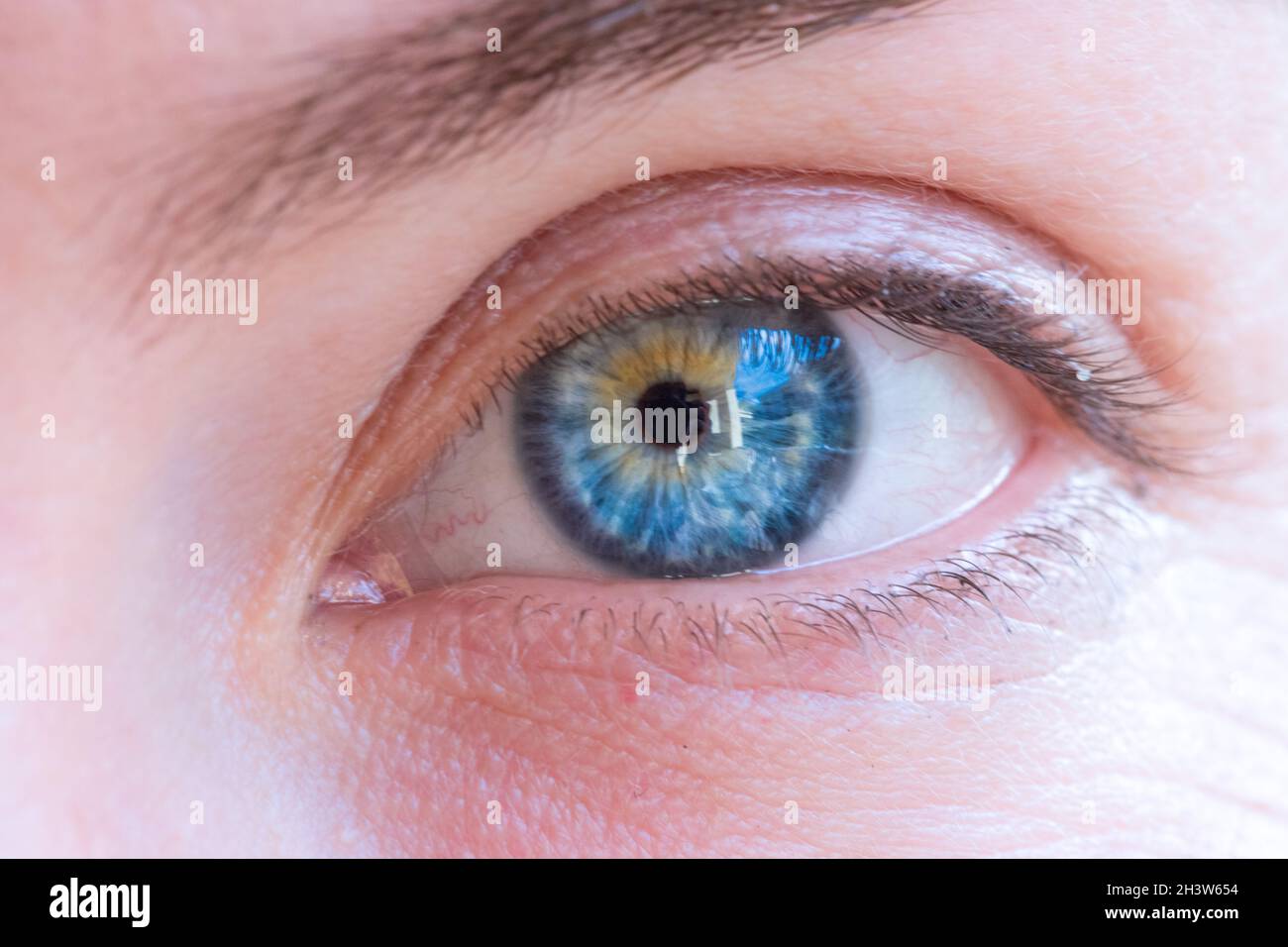Beautiful blue eyes of a young girl Stock Photo - Alamy