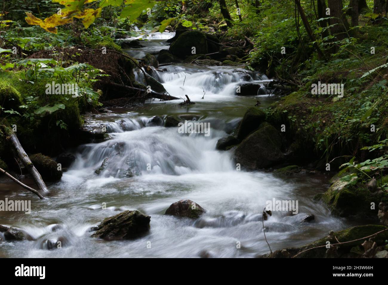 Small movement hi-res stock photography and images - Alamy