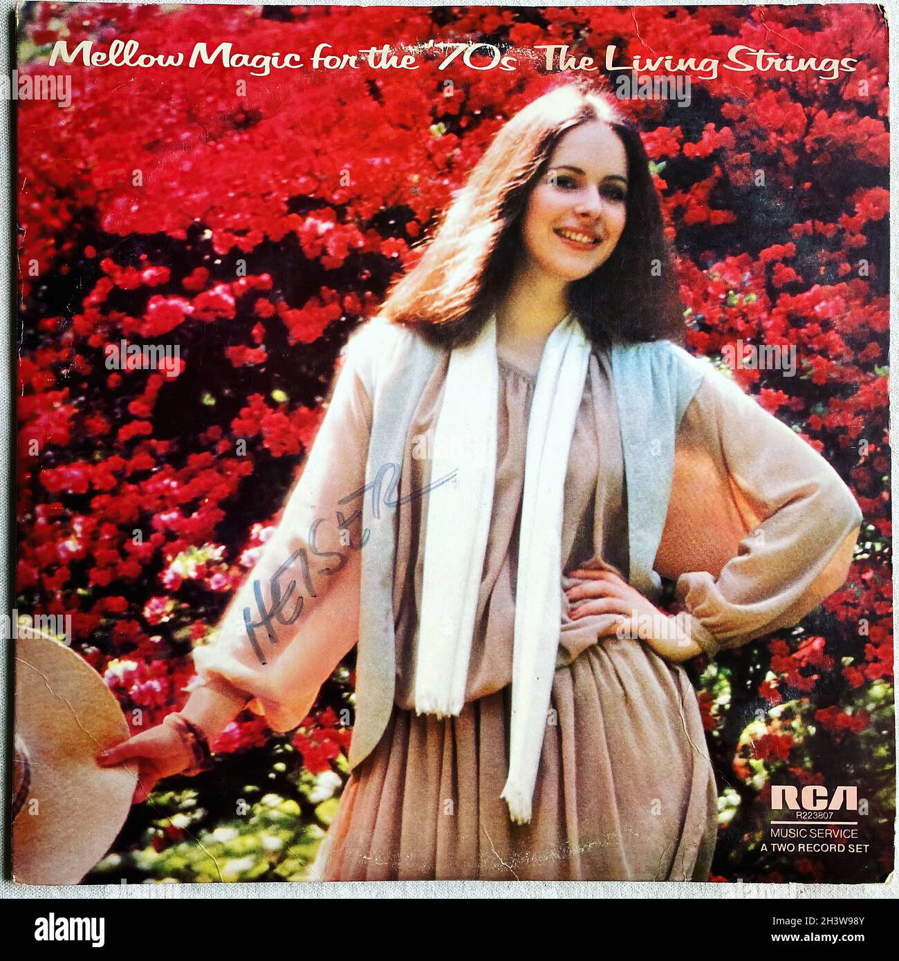 The Living Strings (1977) Lp - Original Vinyl Record Stock Photo - Alamy