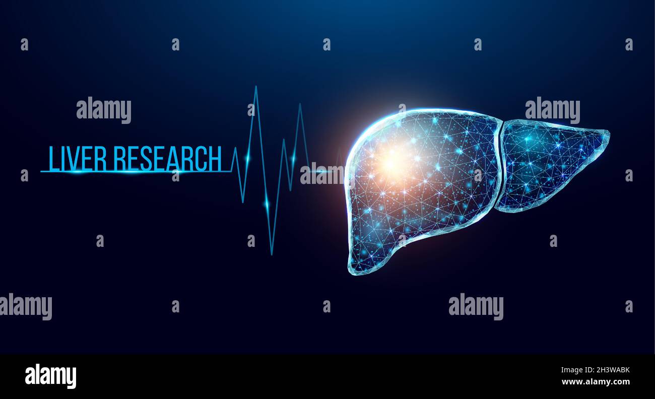 Human liver research. Wireframe low poly style. Concept for medical ...