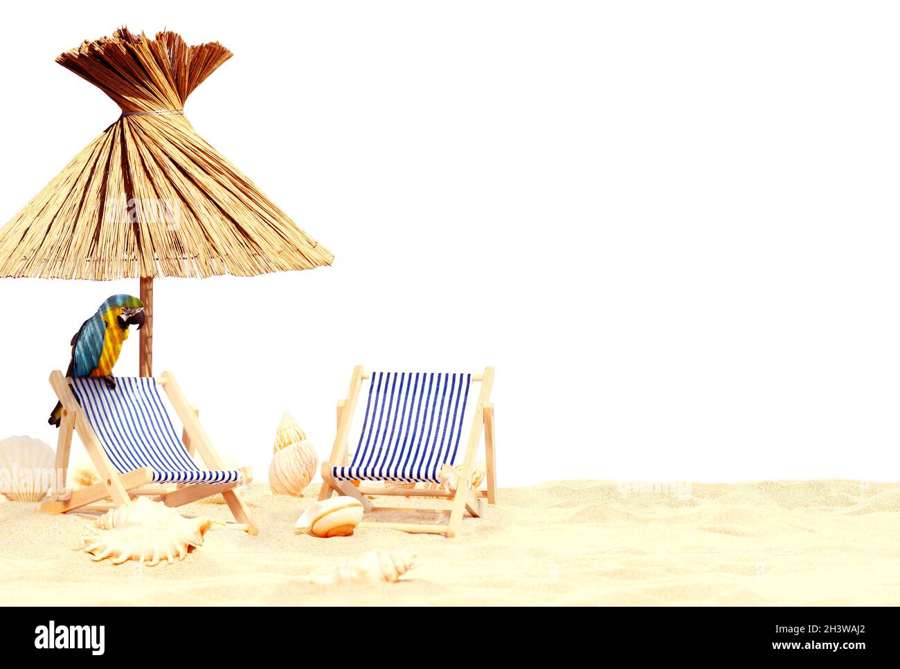 Parrot on tropical beach in the sun on deck chairs under umbrella Stock ...