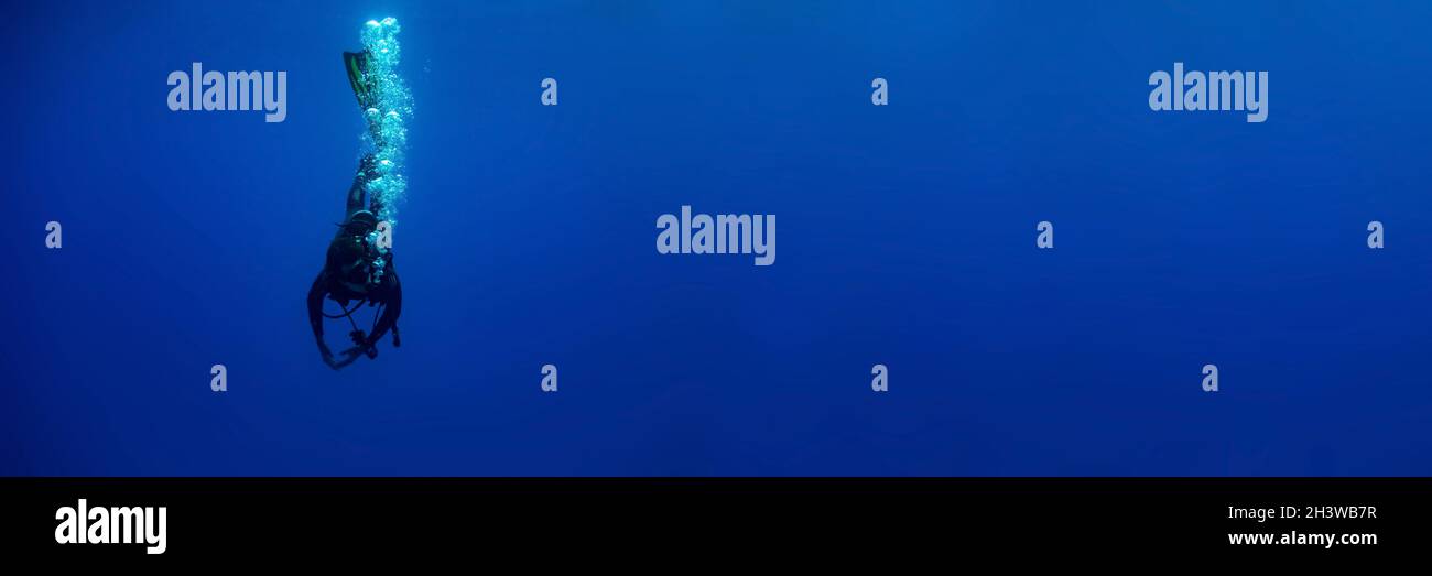 Blue background banner with a scuba diver entering water in a vertical ...