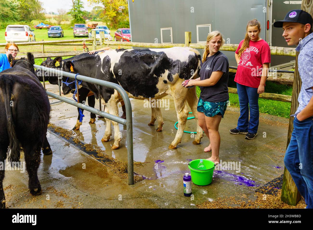 Family farm chores hi-res stock photography and images - Alamy