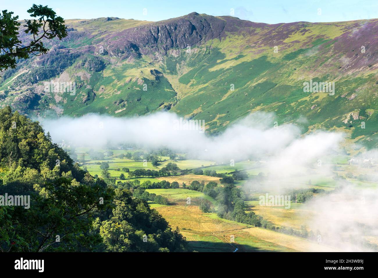 Surprise view hi-res stock photography and images - Alamy