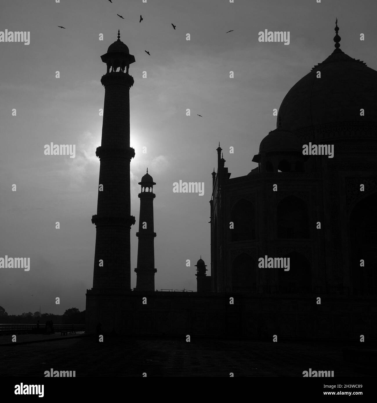 Taj Mahal and its two minarets shortly after sunrise Stock Photo - Alamy