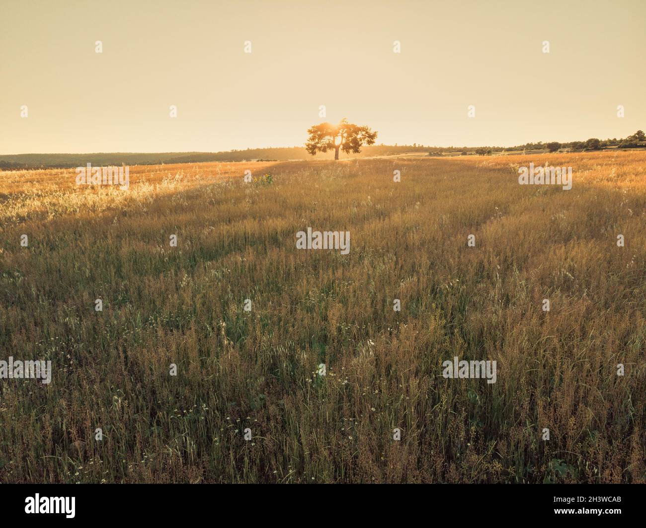 Landscape warm colors hi-res stock photography and images - Alamy