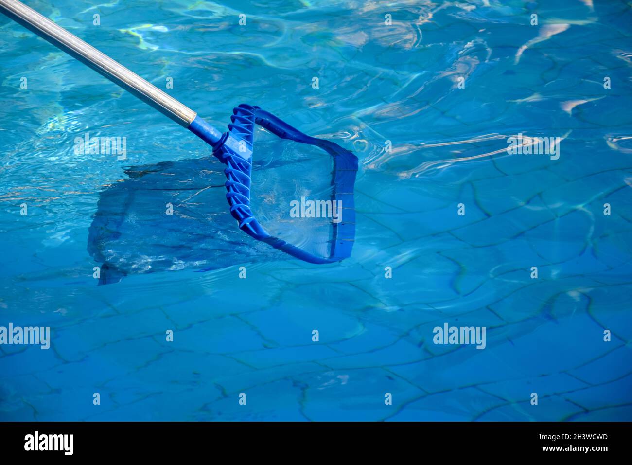 Cleaning pool from garbage with special net. Clear water with blue tint ...