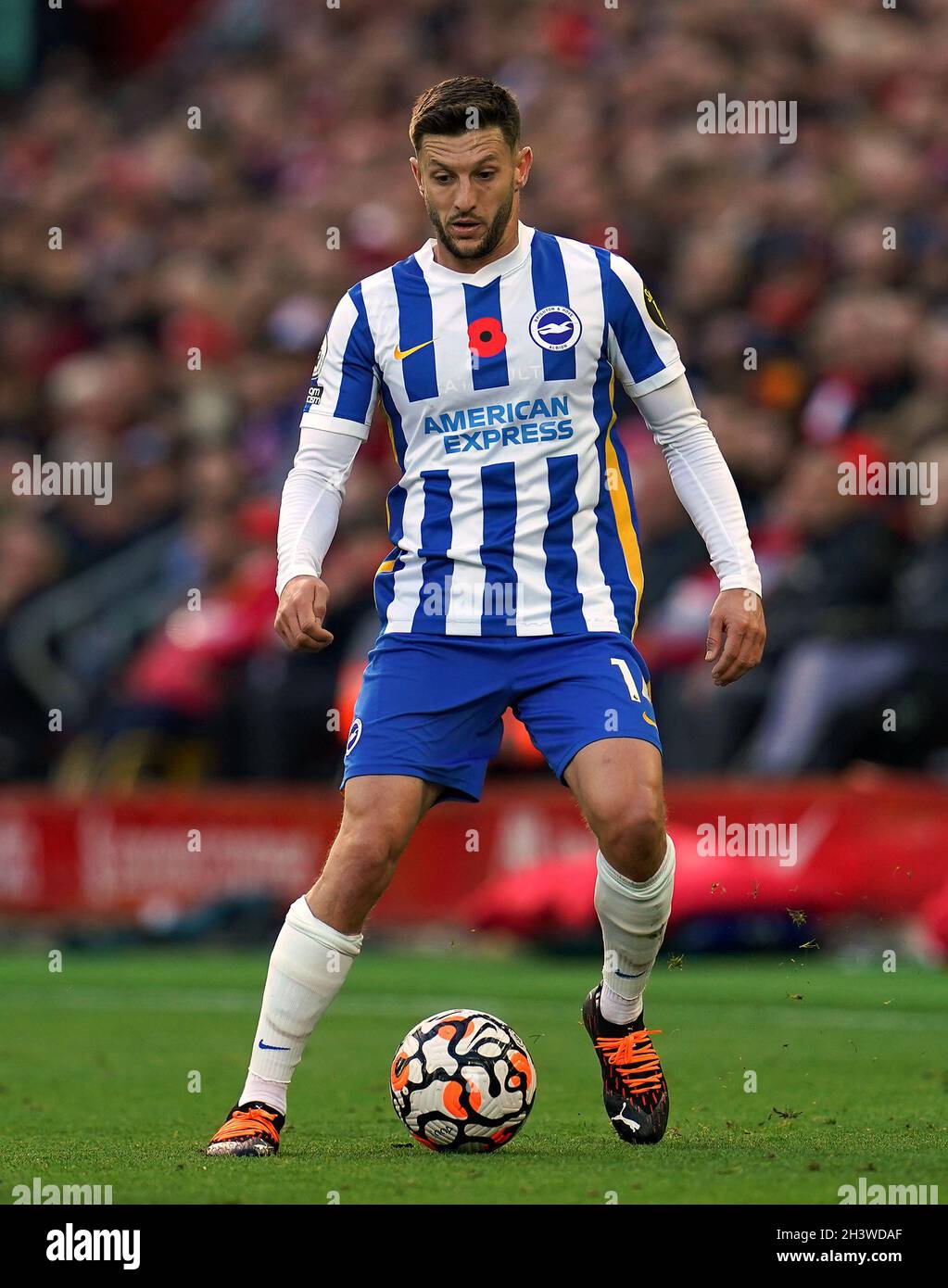 Brighton and Hove Albion's Adam Lallana during the Premier League match ...