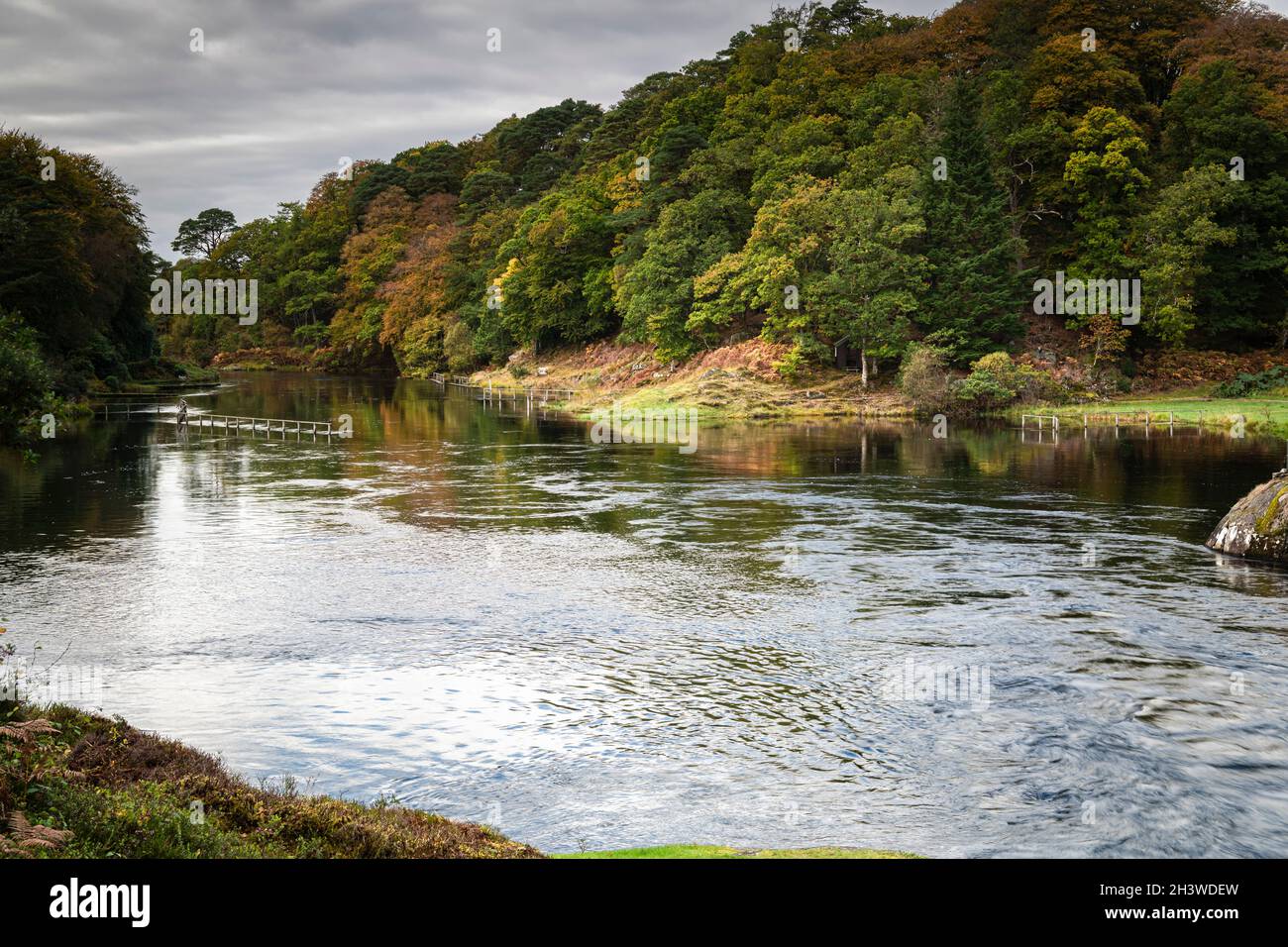 A bright autumnal 3 shot HDR image of the River Shiel in flood near ...