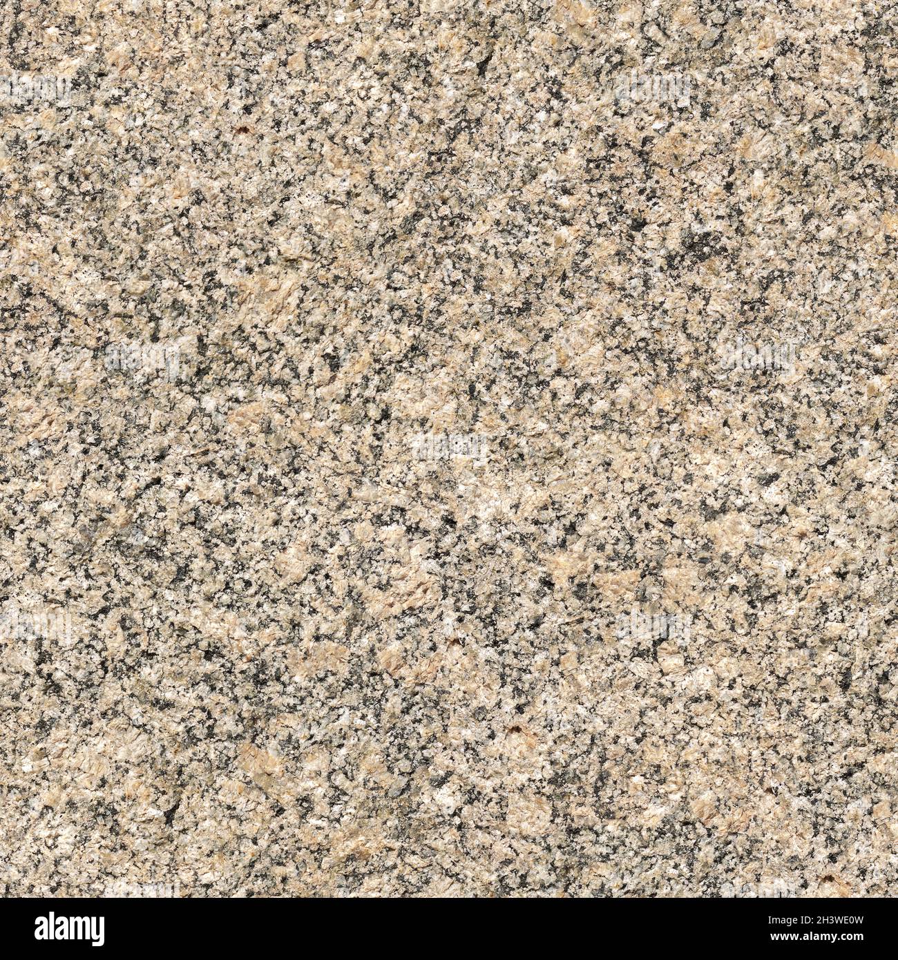 Seamless textures of the ground. very high quality Stock Photo - Alamy
