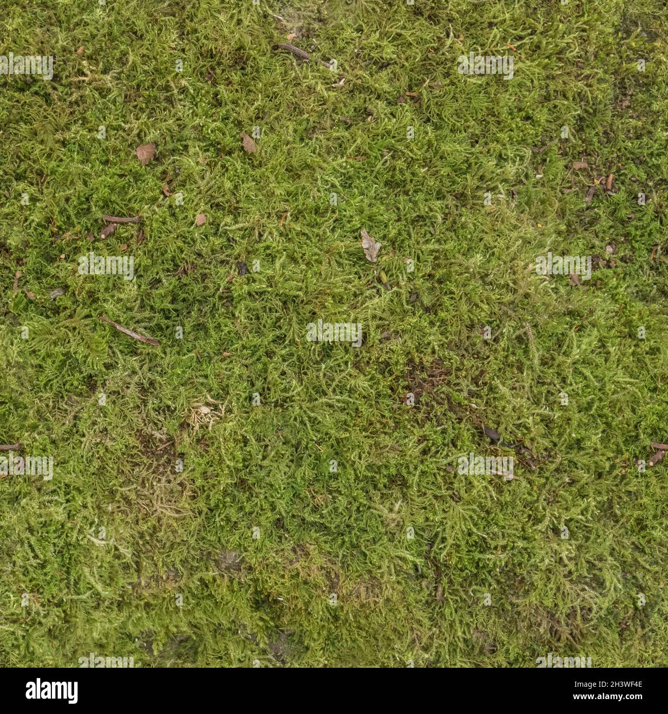 Seamless textures of the ground. very high quality Stock Photo - Alamy
