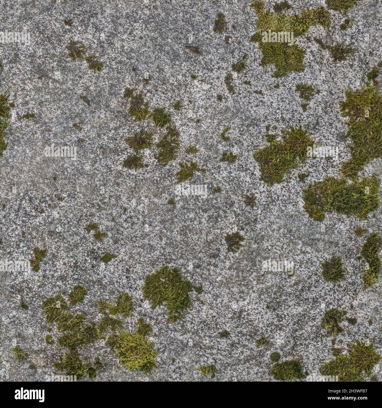 Seamless textures of the ground. very high quality Stock Photo - Alamy