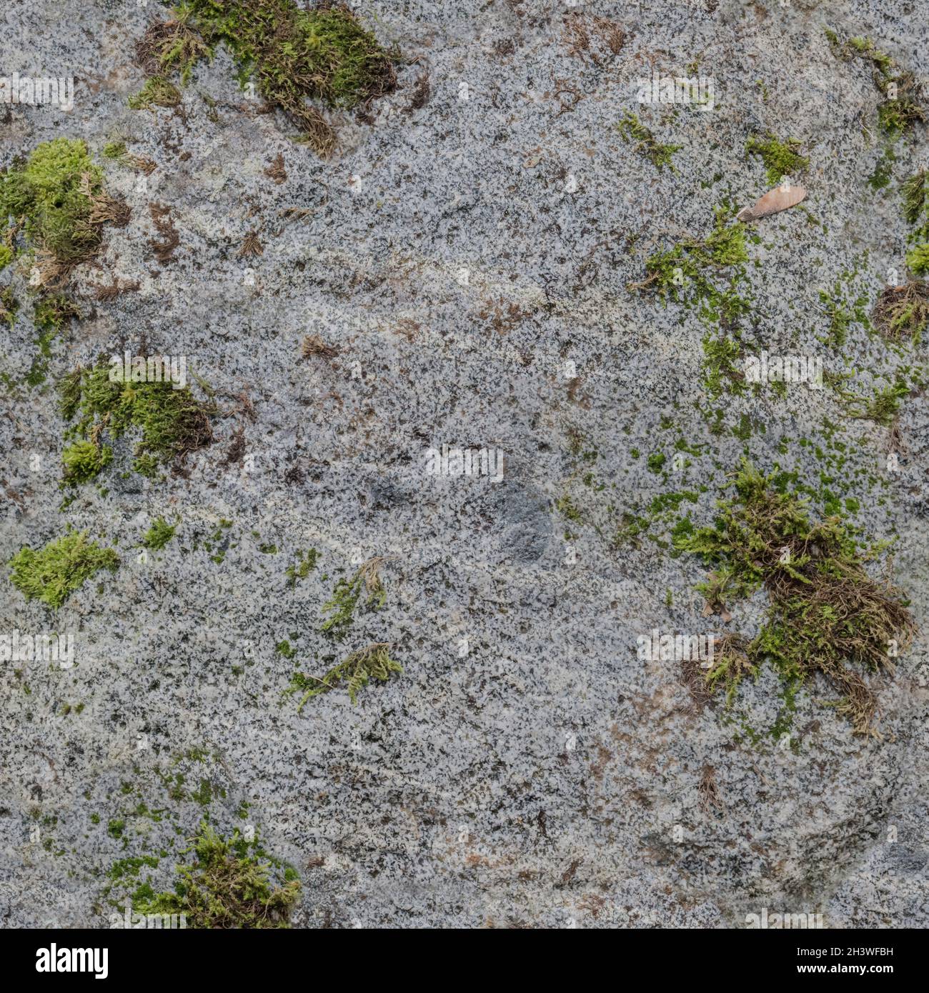 Seamless textures of the ground. very high quality Stock Photo - Alamy