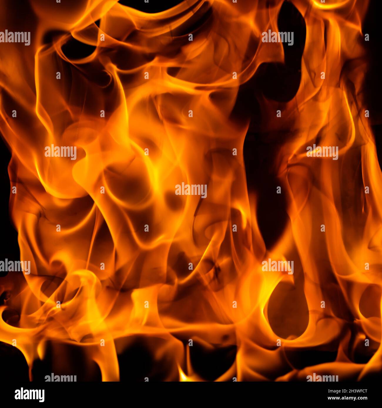 Red blaze Fire flame on a black background Stock Photo - Alamy