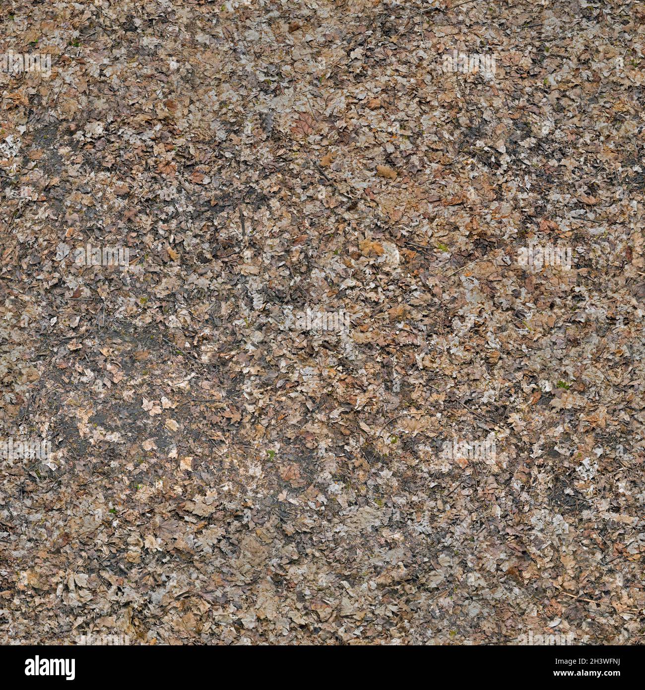 Seamless textures of the ground. very high quality Stock Photo - Alamy