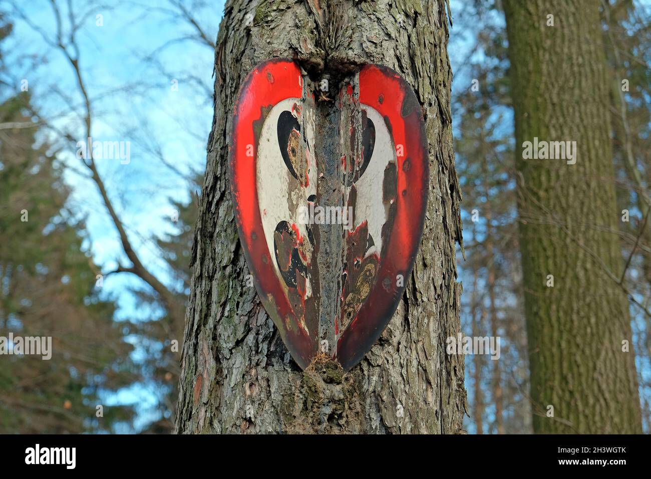 Prohibition sign overgrown with a tree bark Stock Photo - Alamy