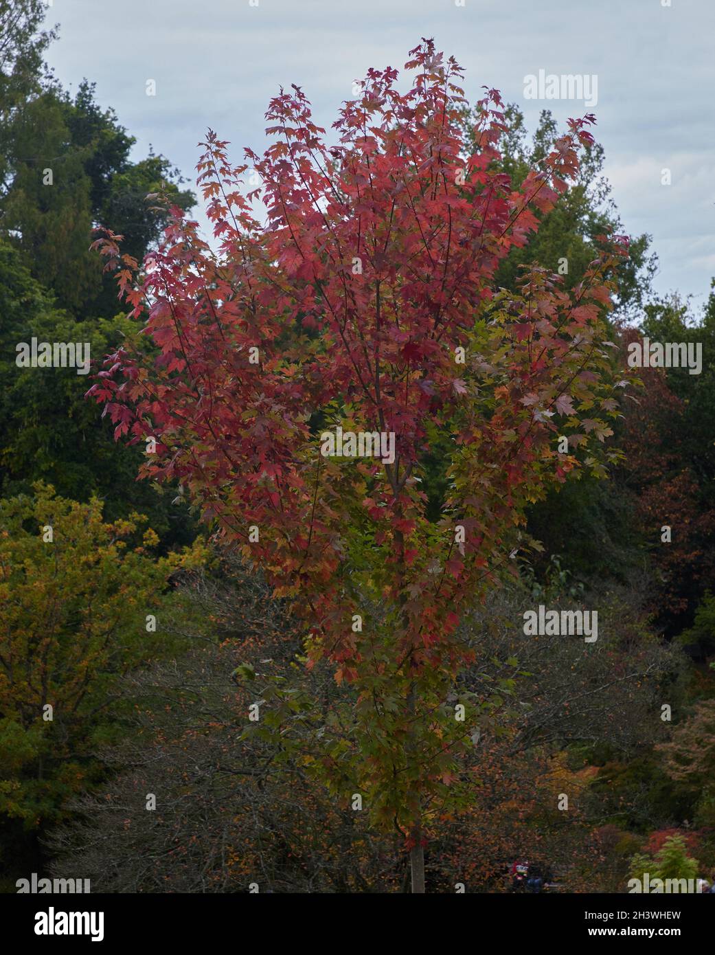 Warm october hi-res stock photography and images - Alamy