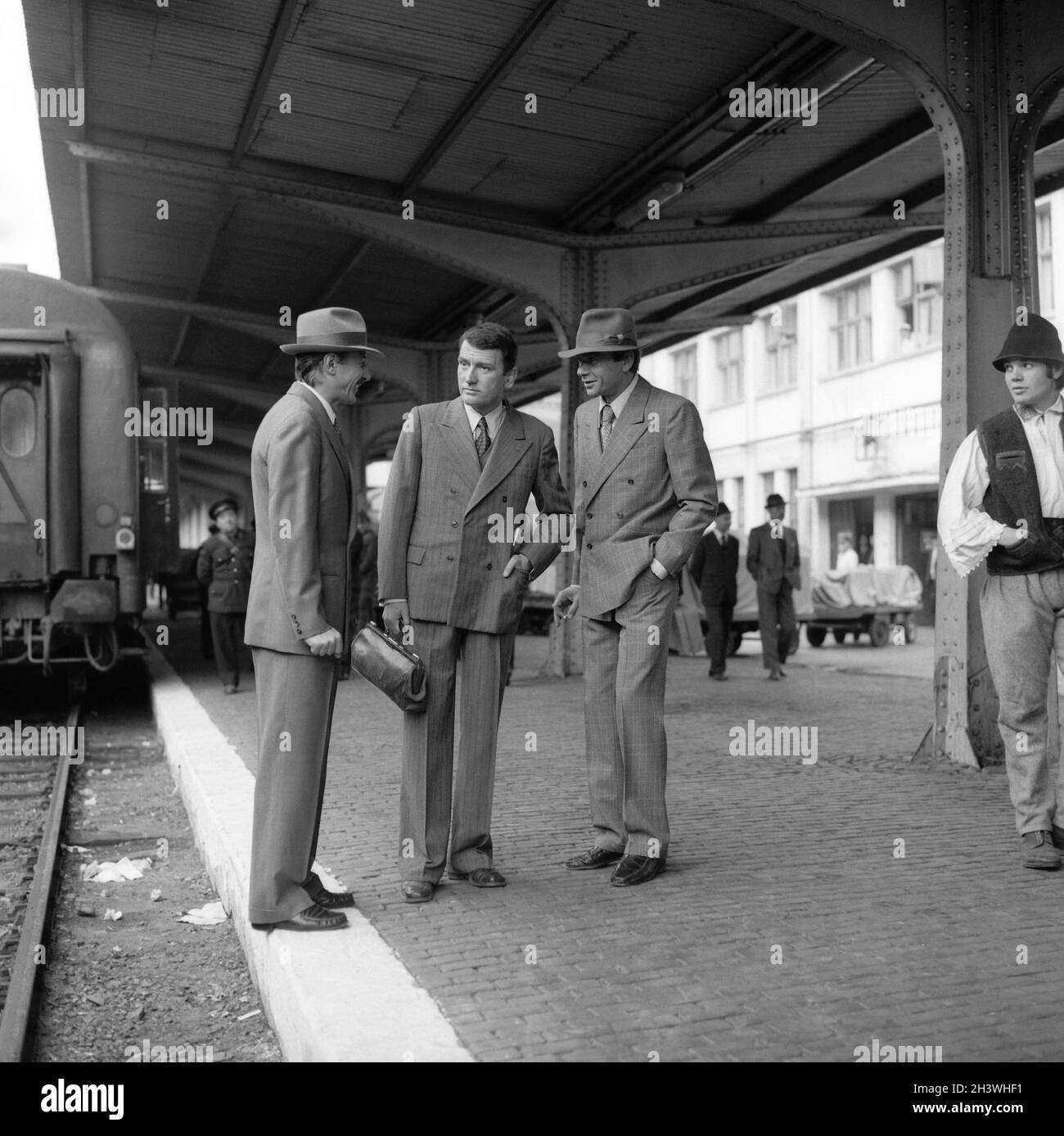 Cornel patrichi hi-res stock photography and images - Alamy