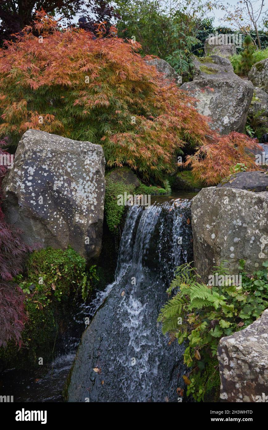 Waterfall seen in the garden of RHS Wisley in Ocober Stock Photo - Alamy