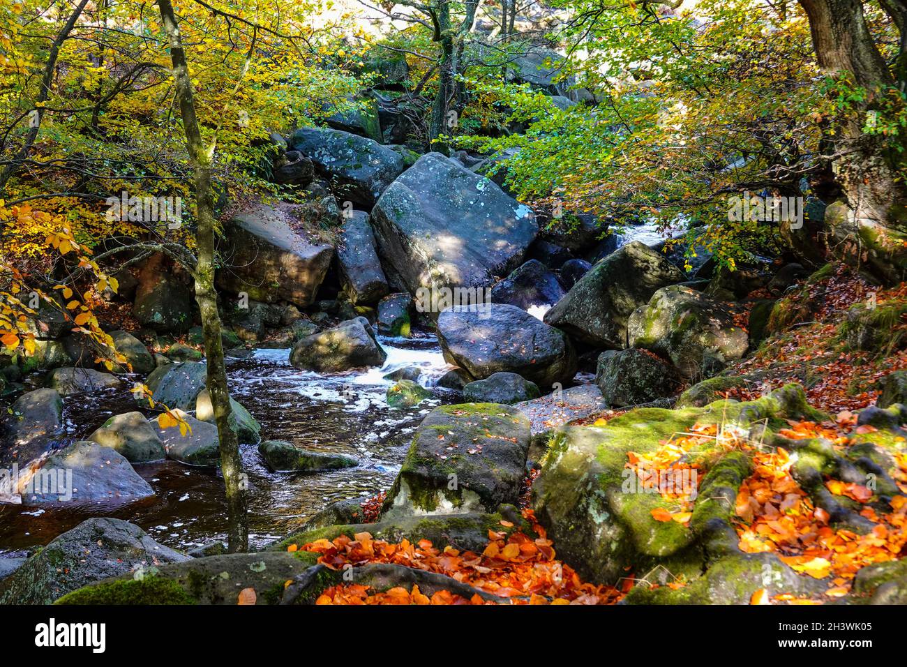 Colourful autumn woods in Padley Gorge, Peak District National Park ...