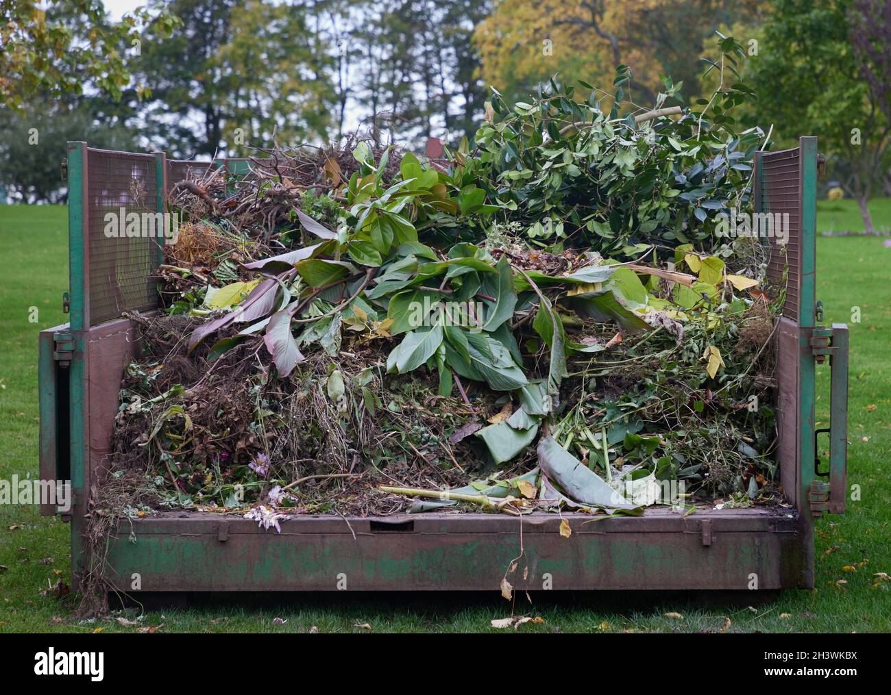 Garden waste in a large container Stock Photo - Alamy