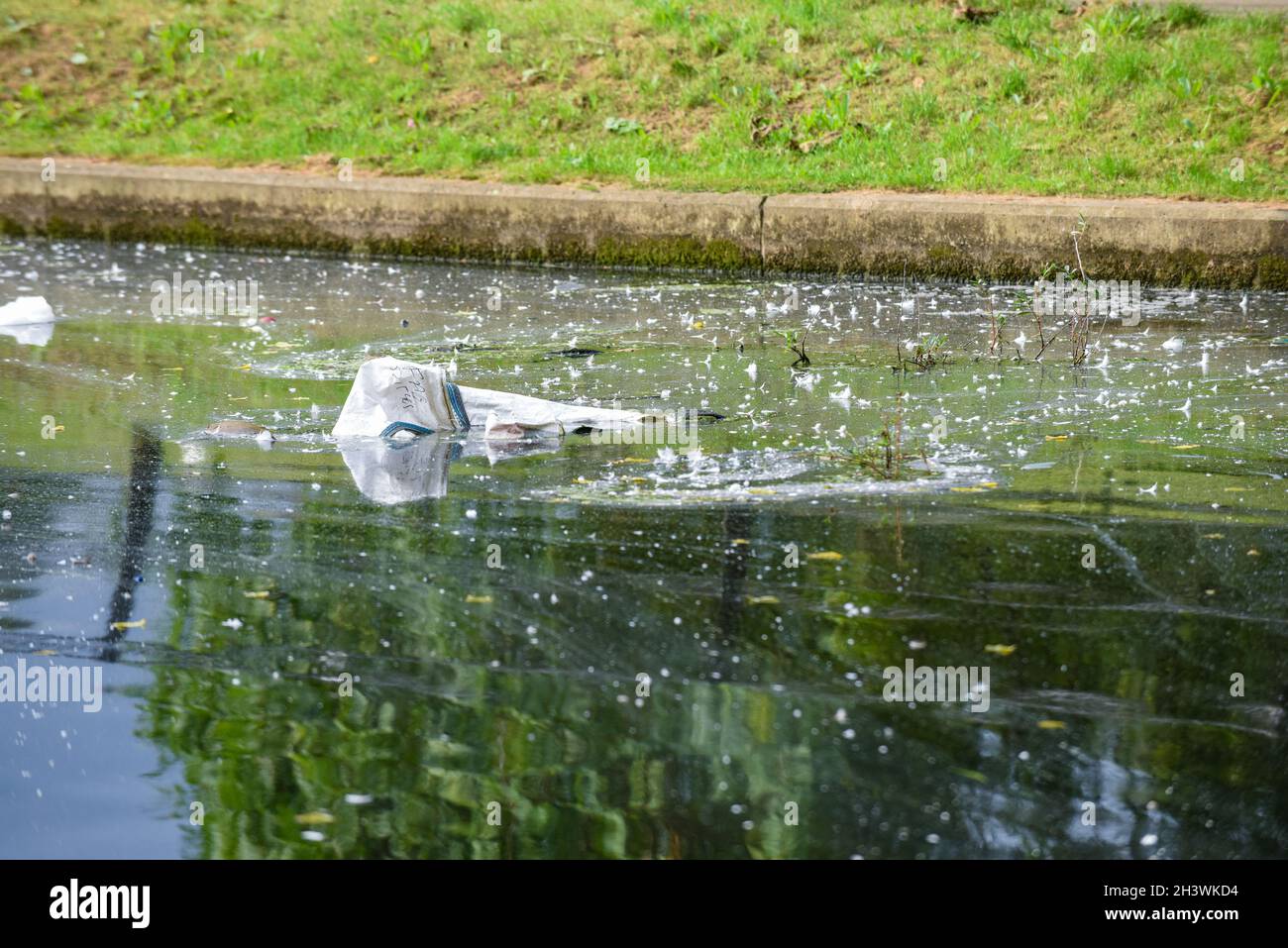 Polluted water of a lake with waste and rubbish in it Stock Photo - Alamy