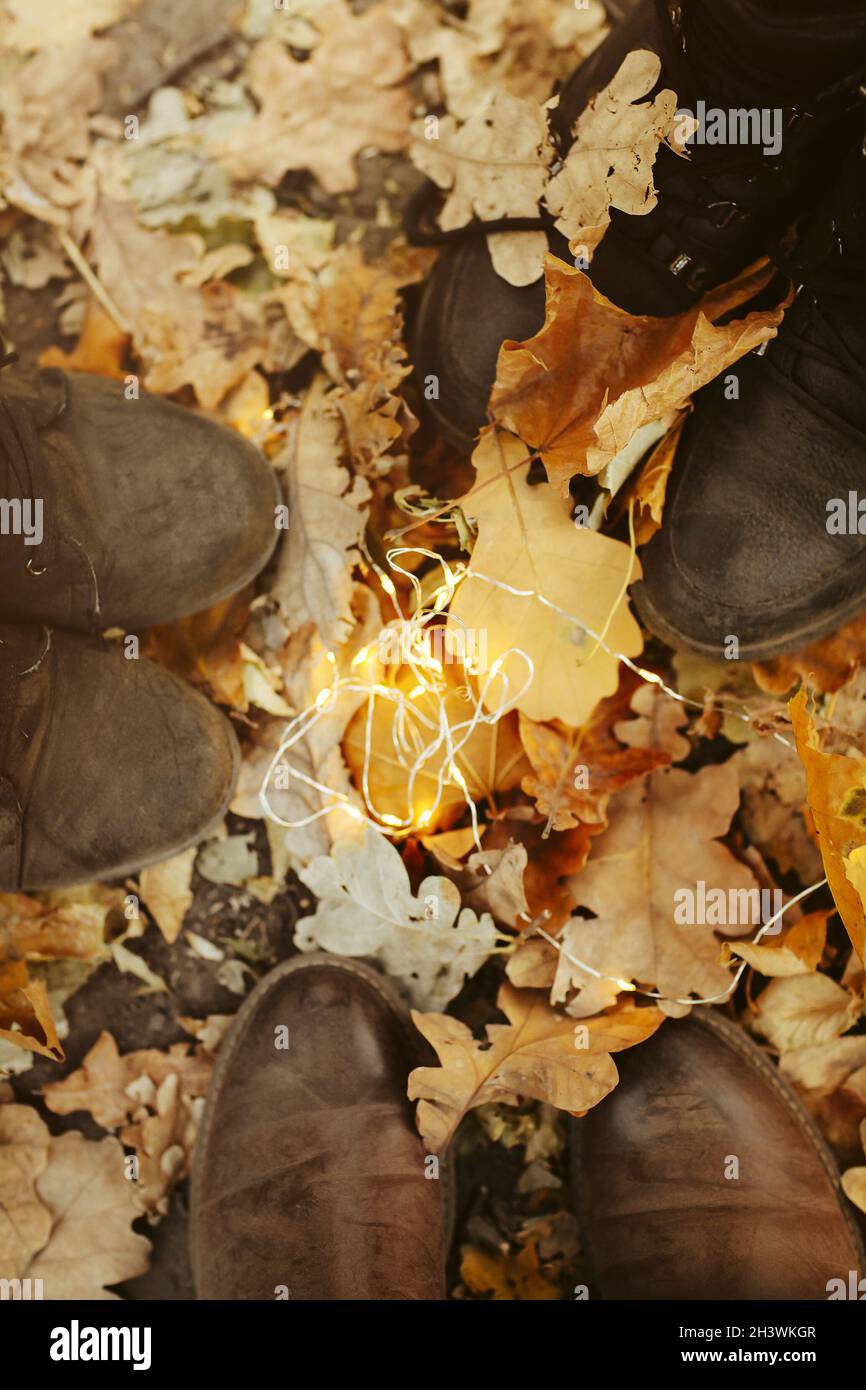 Cover crop overhead hi-res stock photography and images - Alamy
