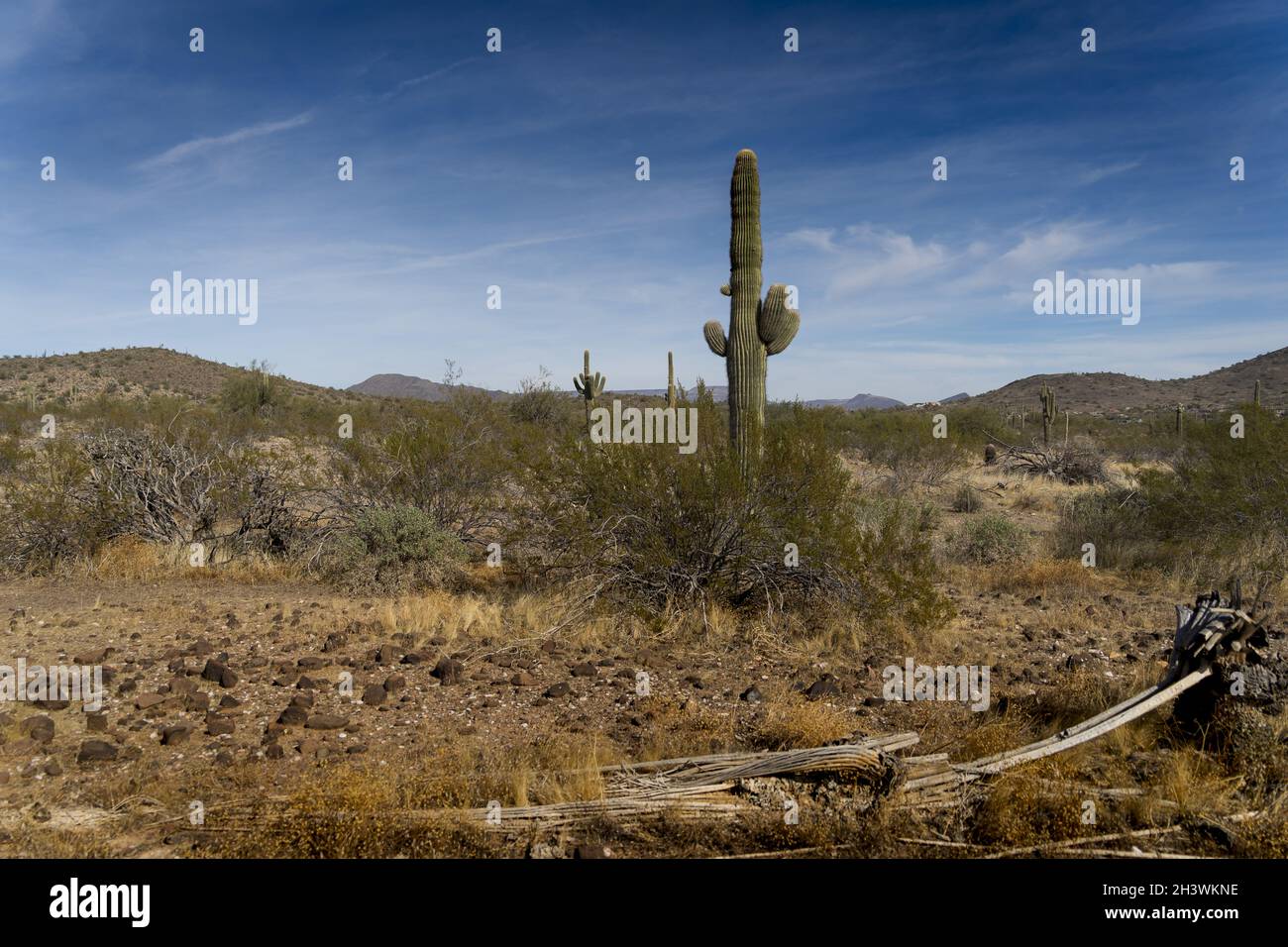 View Of The Mountains At Papago Park In Phoenix, Arizona Stock Photo ...