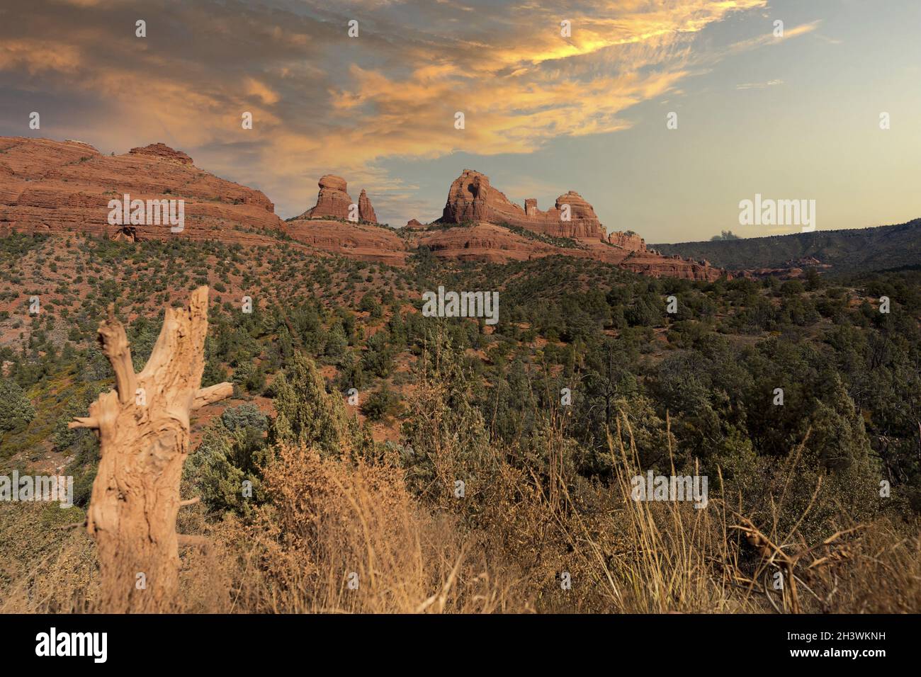 American Desert Rock Formations Stock Photo - Alamy