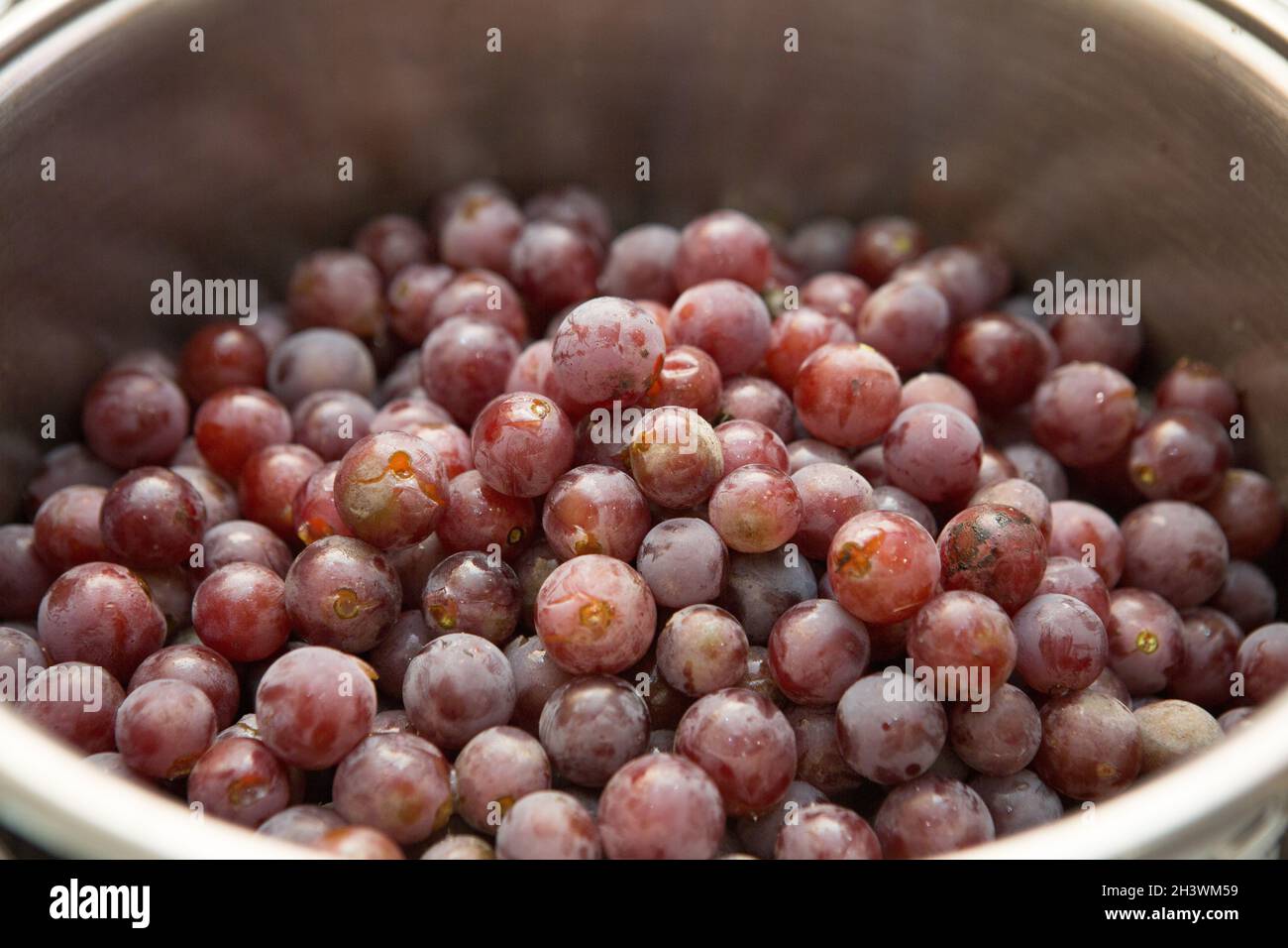 The process of making homemade wine. The ripe grapes are peeled from ...