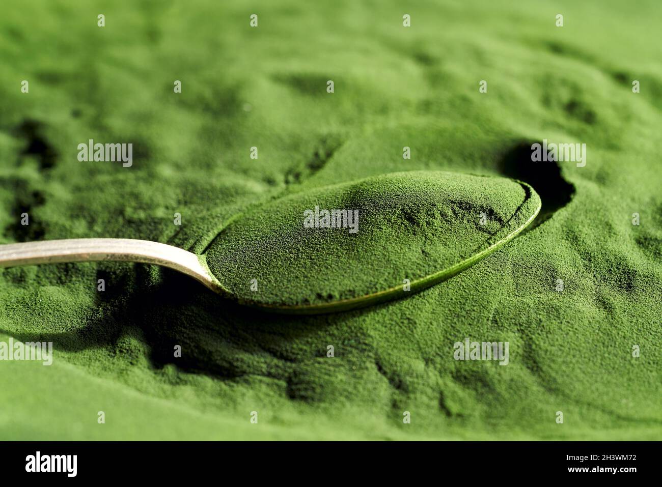 Ground chlorella algae powder on a metal spoon Stock Photo - Alamy