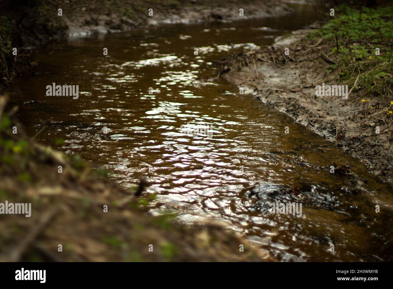 Natural Water Channels