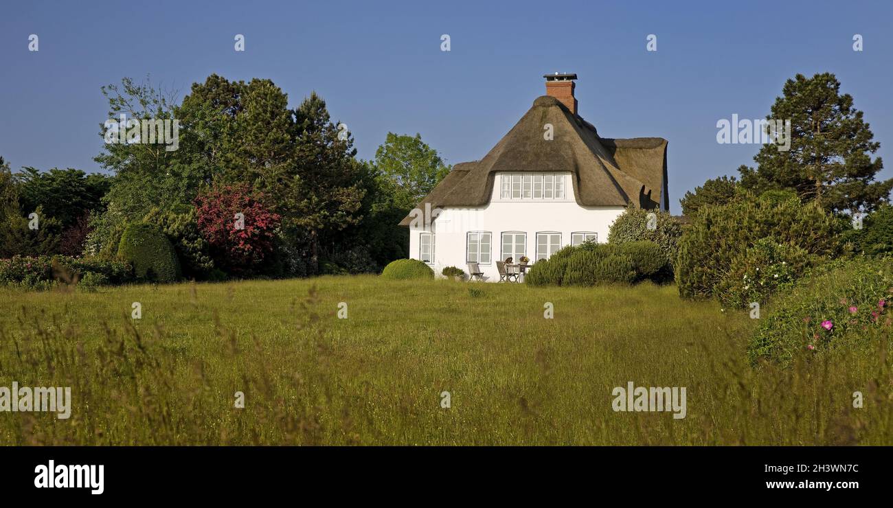 Thatched roof house, Frisian house, Nebel, Amrum island, North Sea ...