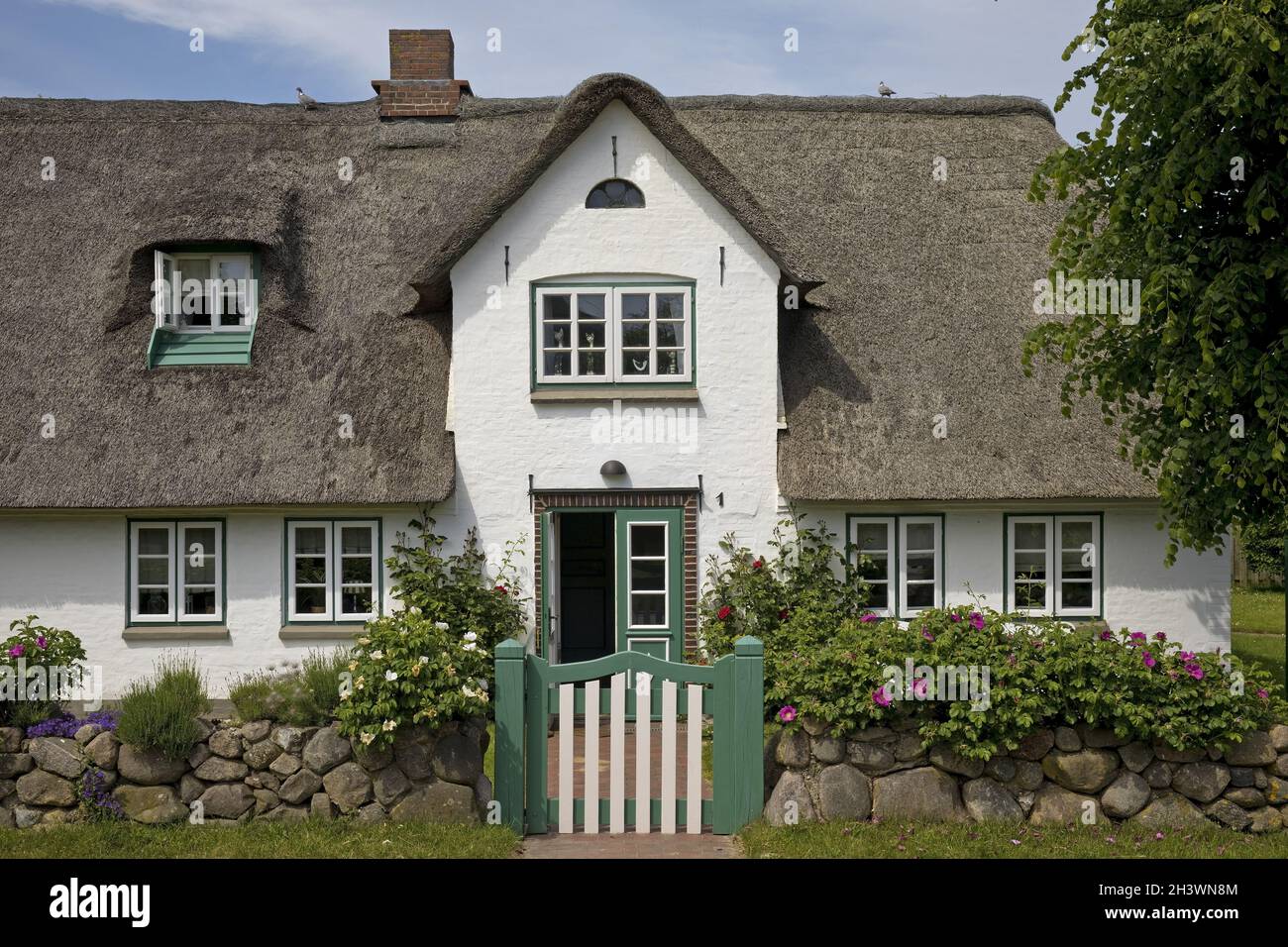 Thatched roof house, Frisian house, Nebel, Amrum island, North Sea ...