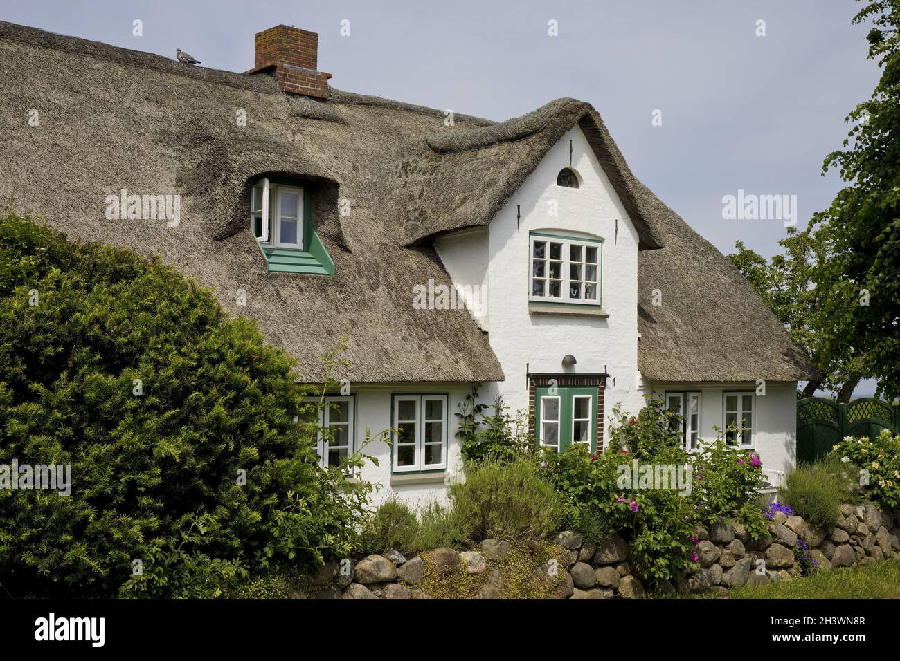 Thatched roof house, Frisian house, Nebel, Amrum island, North Sea ...