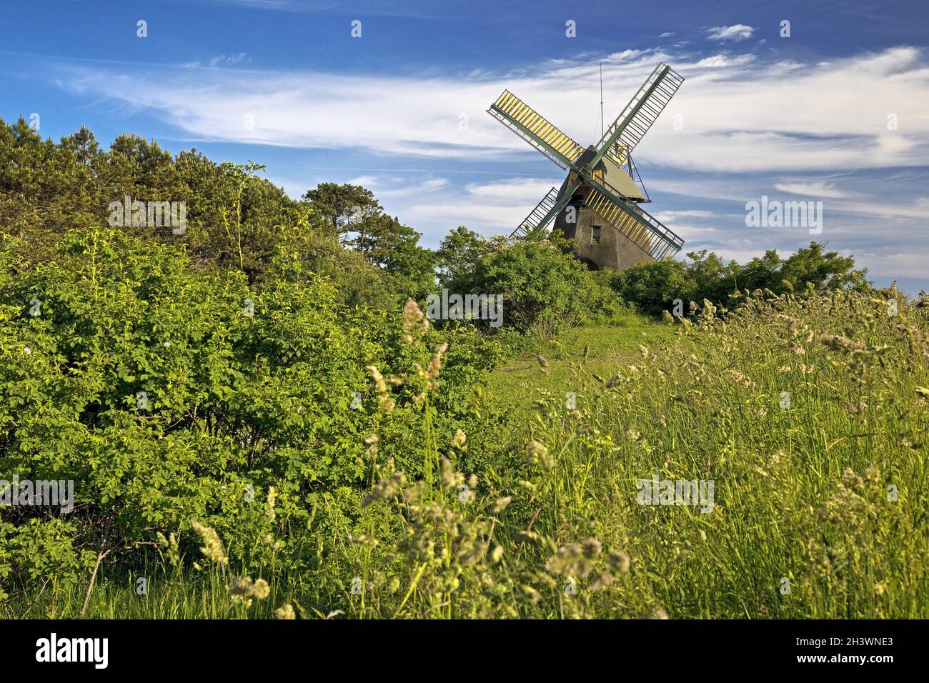 Landscape with windmill of the type Kellerhollaender, Nebel, Amrum ...