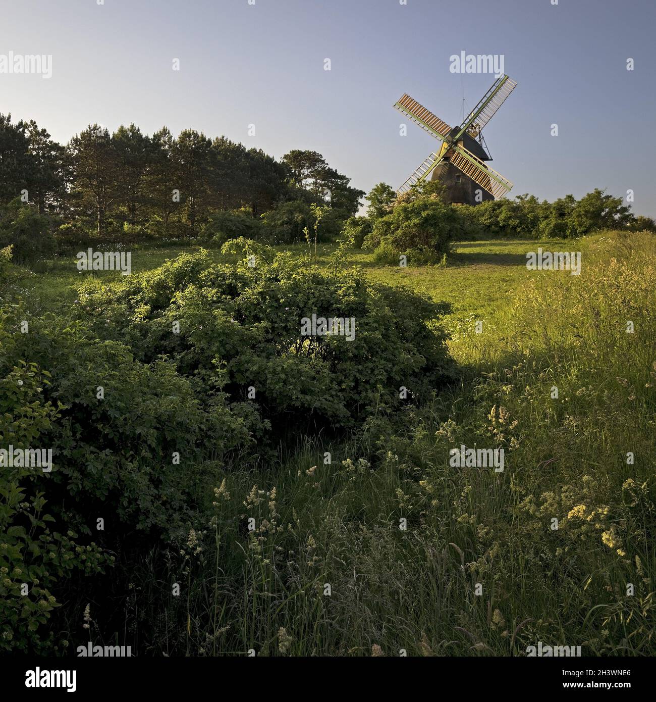 Landscape with windmill of the type Kellerhollaender, Nebel, Amrum ...