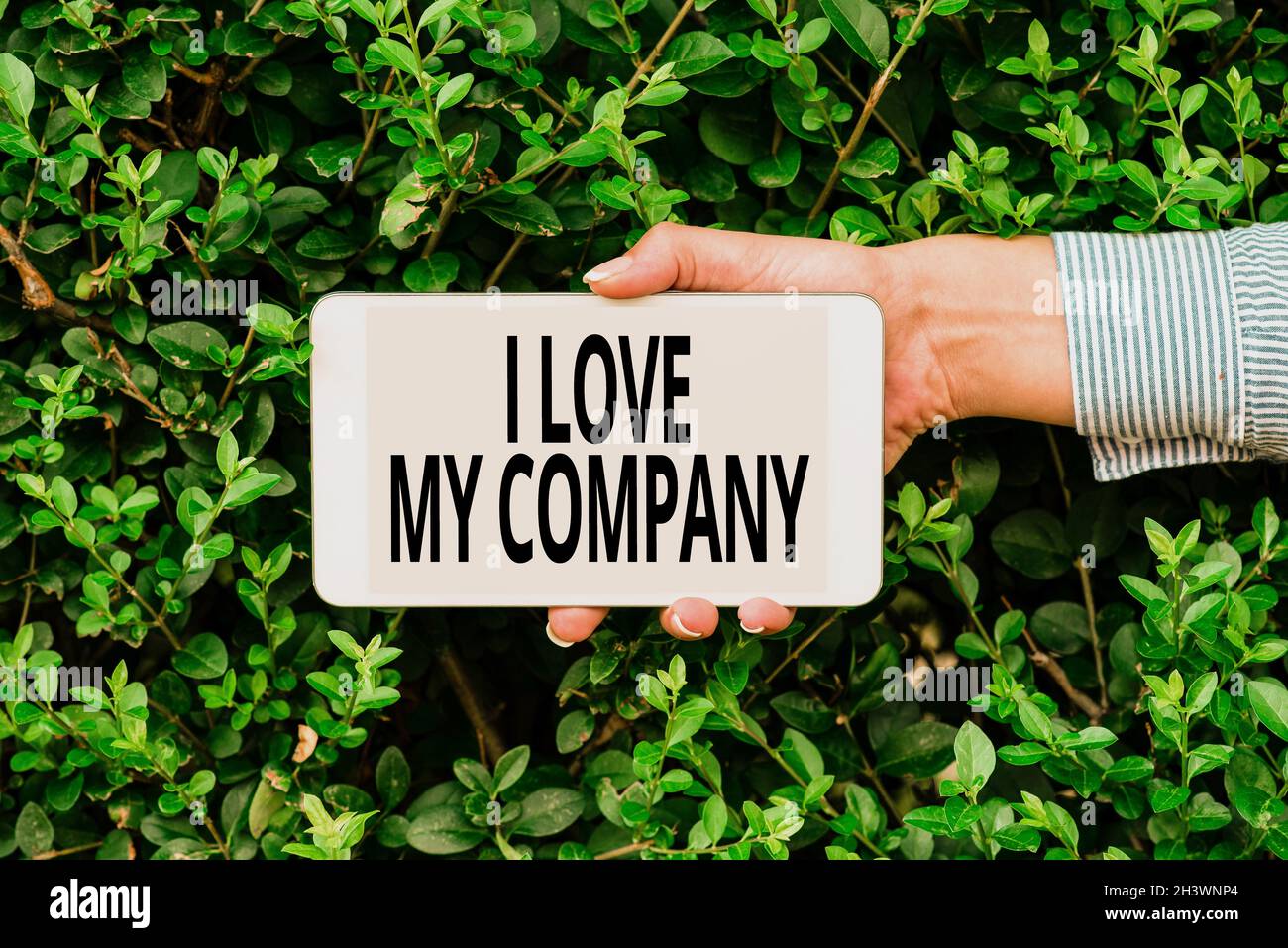 Hand writing sign I Love My Company. Concept meaning tell why admire ...