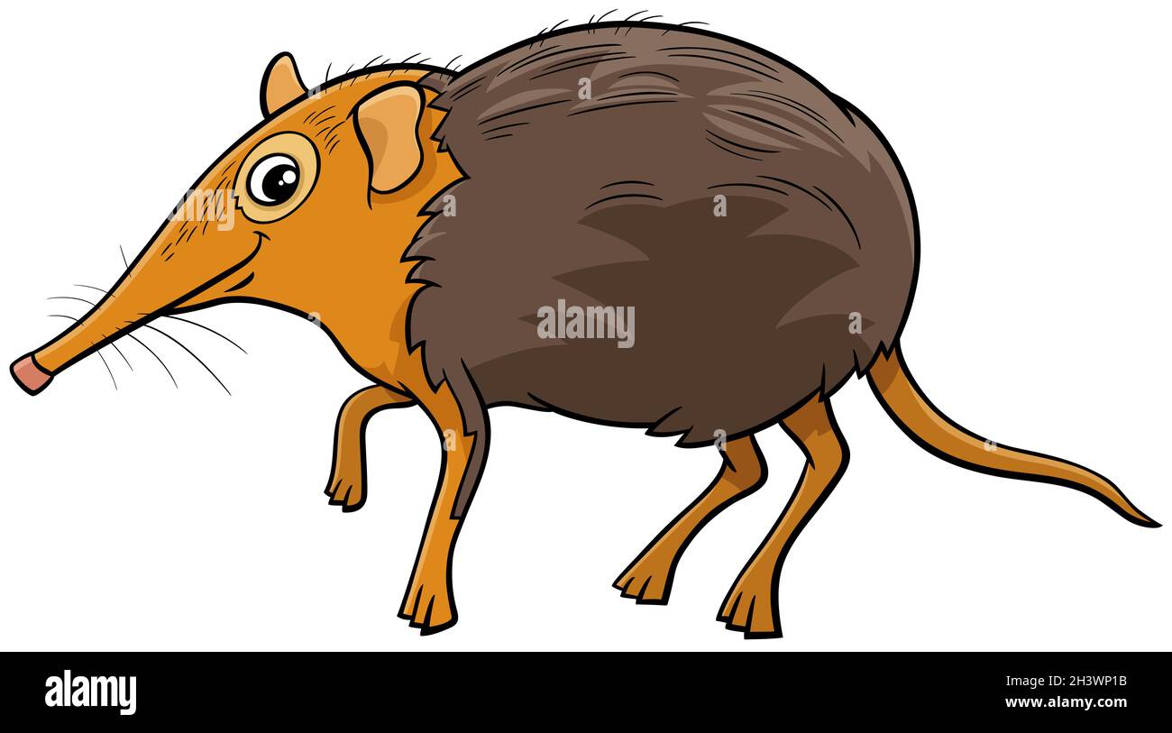 African elephant tail Cut Out Stock Images & Pictures - Alamy