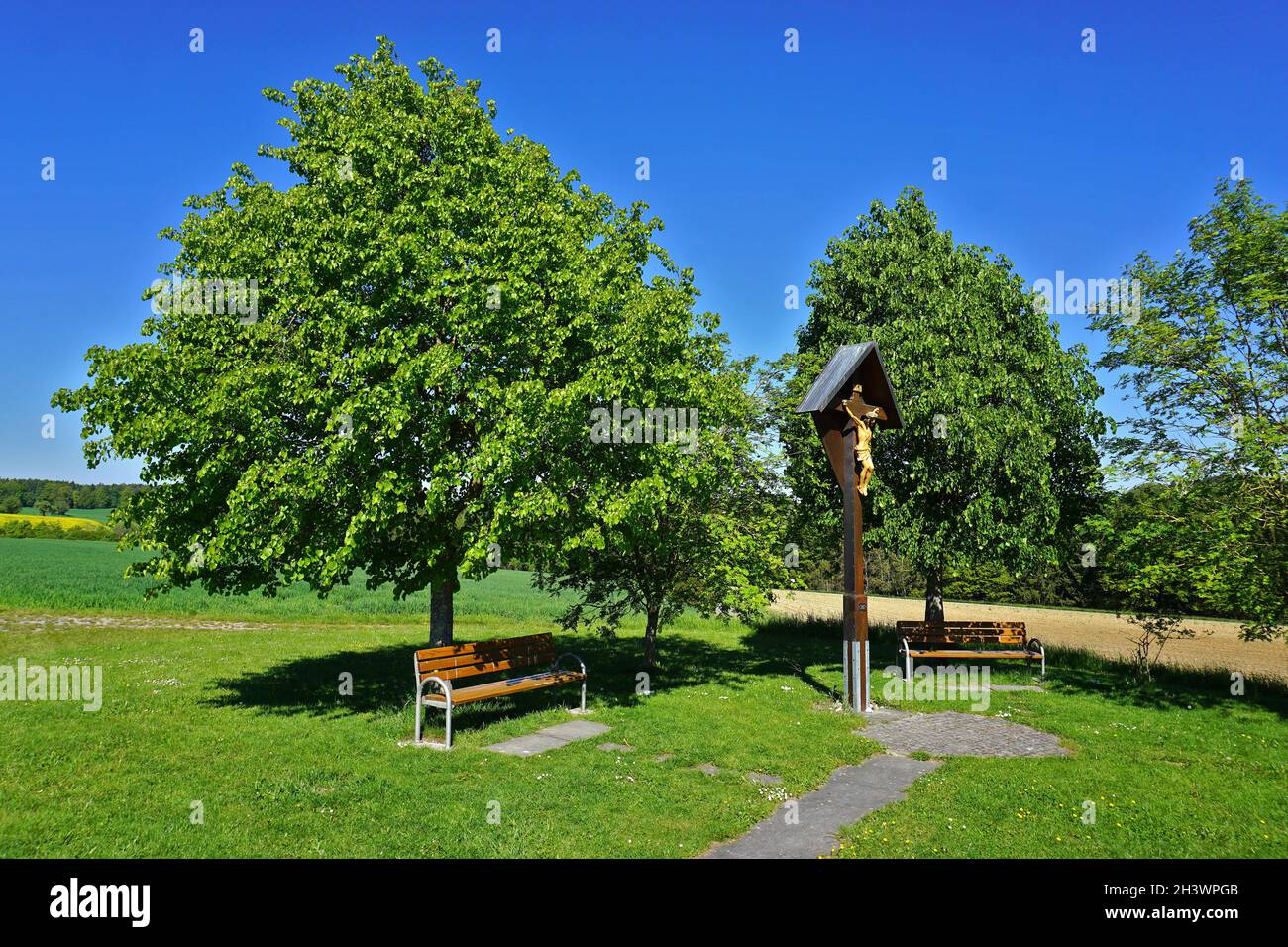 Wayside trees hi-res stock photography and images - Alamy
