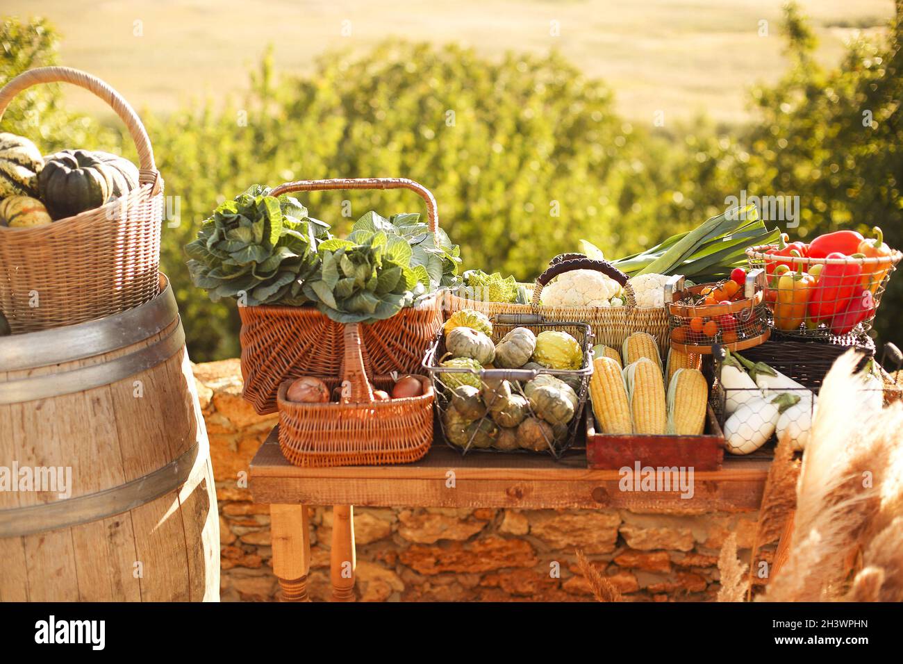 Food collection baskets hi-res stock photography and images - Alamy