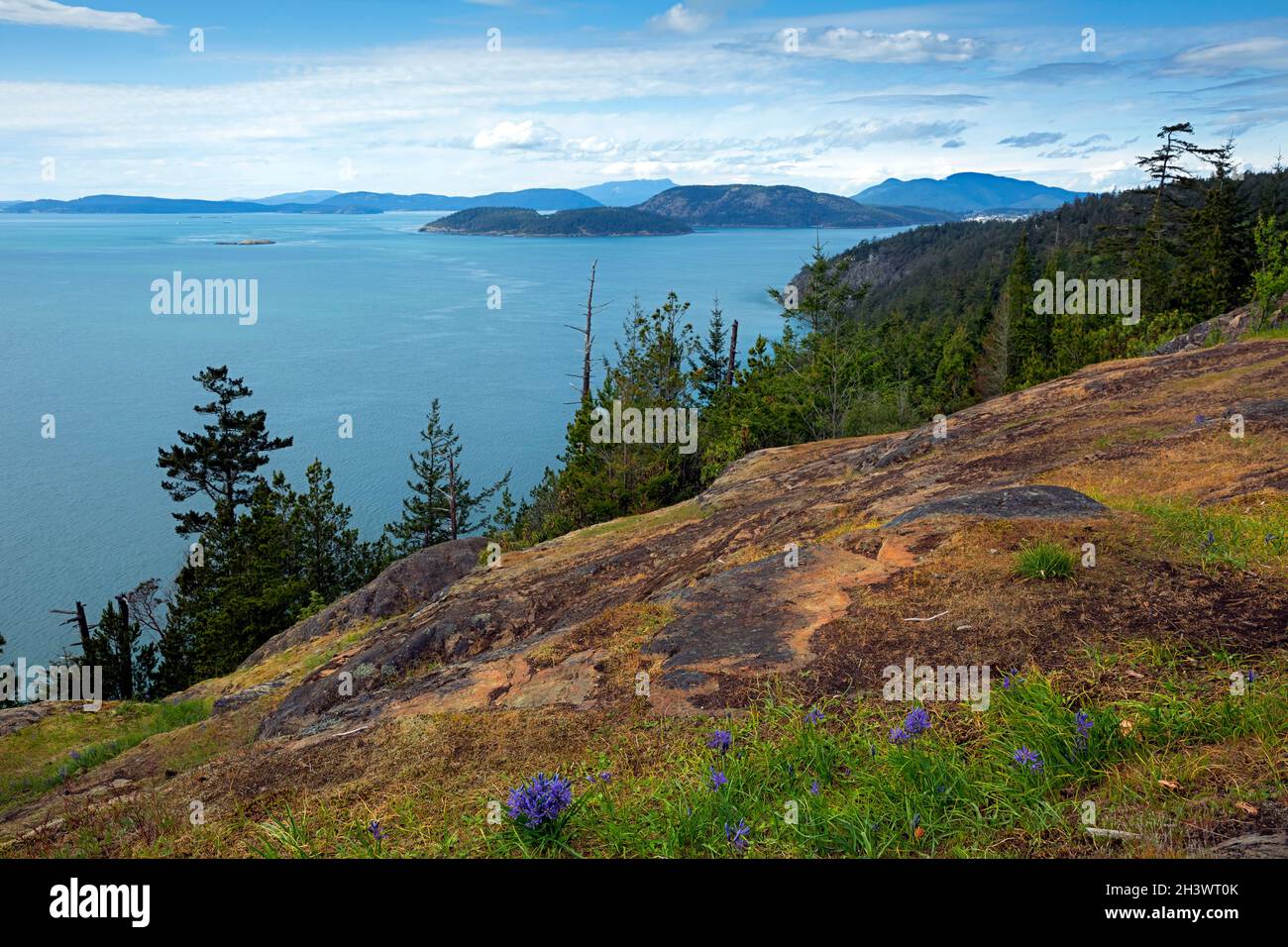 WA19730-00...WASHINGTON - Sare's Head Overlook view of Rosario Strait ...