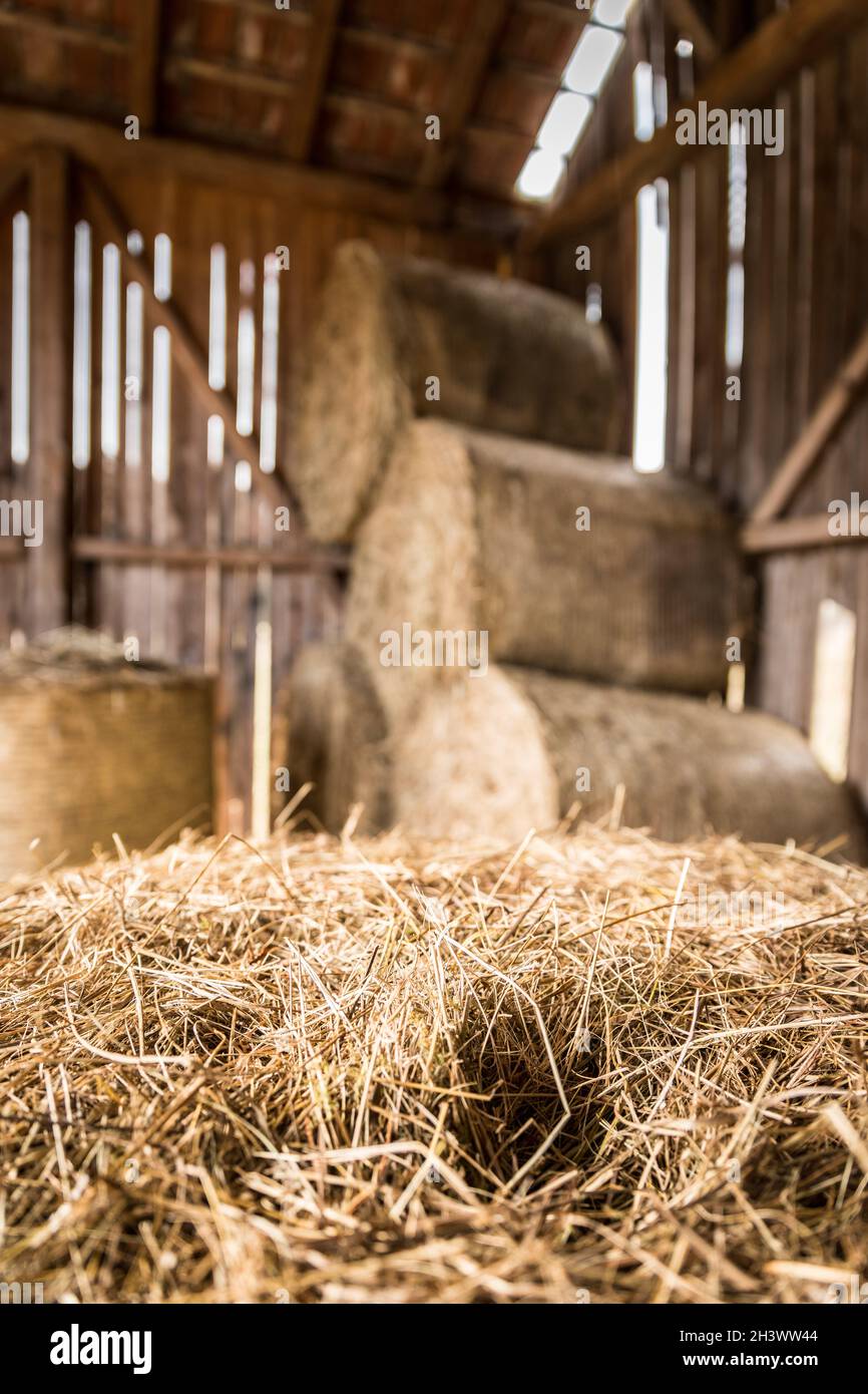 Stored bales of straw/hay inside of a farm, countryside Stock Photo - Alamy