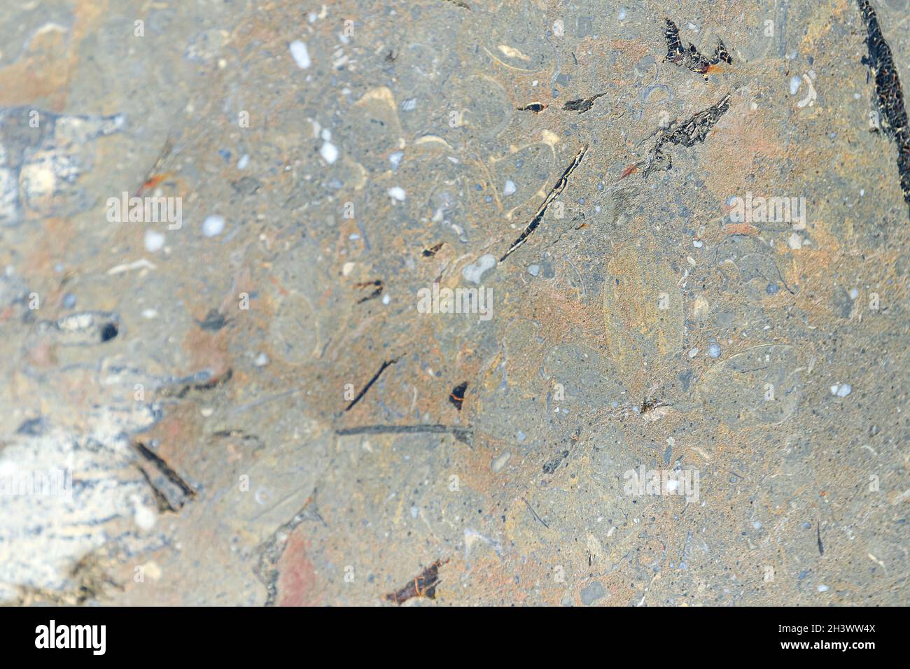 black anthracite stone tile floor texture. abstract natural background ...